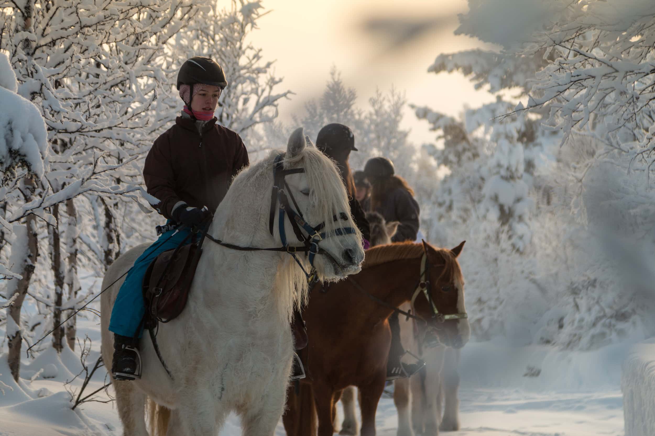 Horseback Riding in Winter Norway - Jotunheimen Travel